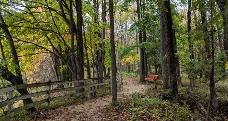 13 Benefits Of Spending Time In Nature: healthier in 30 minutes