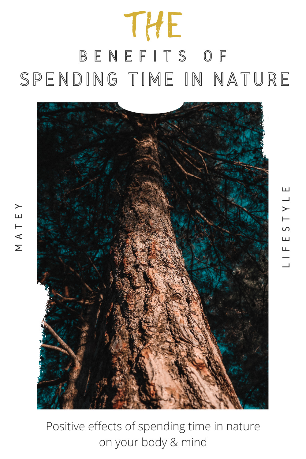 9 Positive Effects & Benefits Of Spending Time In Nature